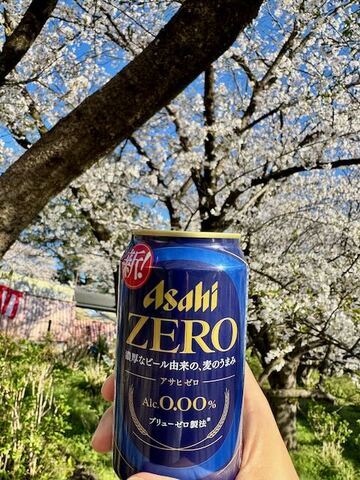 幸手権現堂堤 桜祭り: その方が素敵日記帳